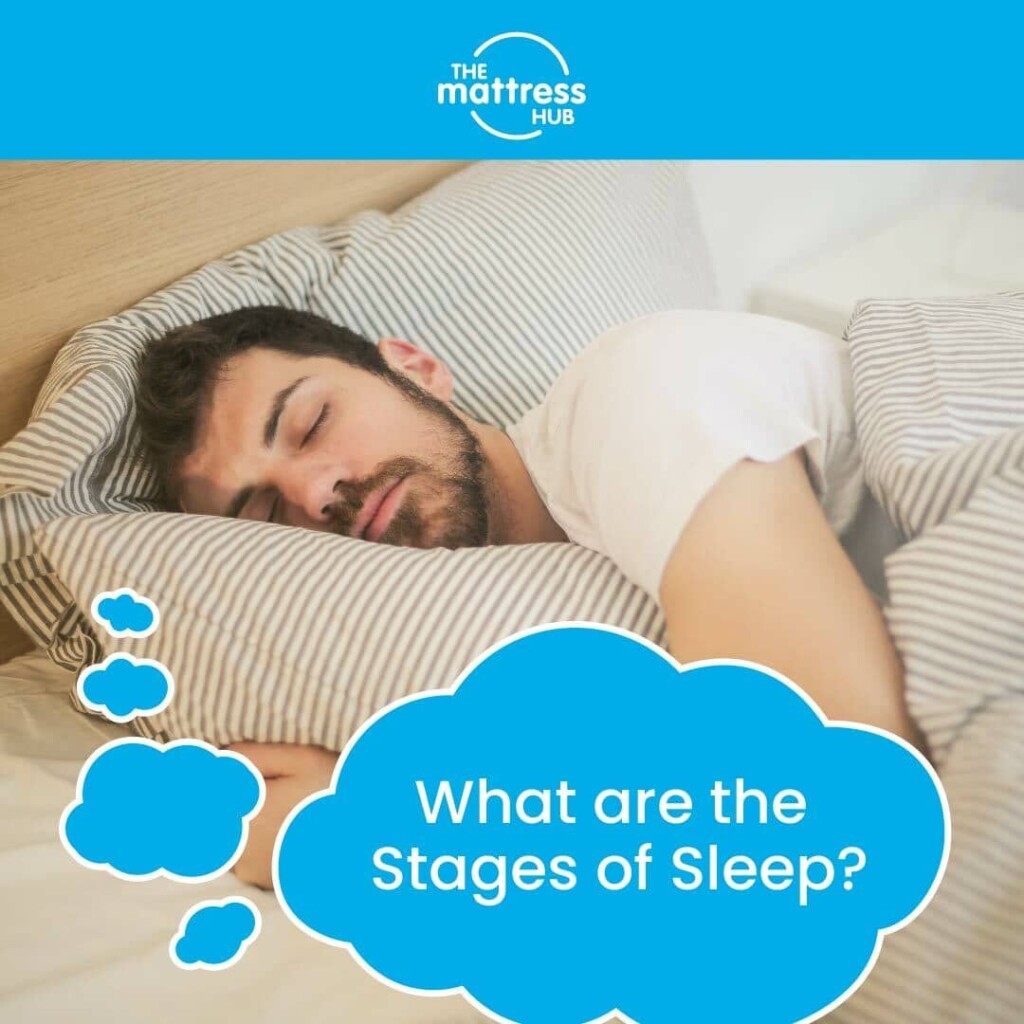 What are the Stages of Sleep? | Blog | The Mattress Hub